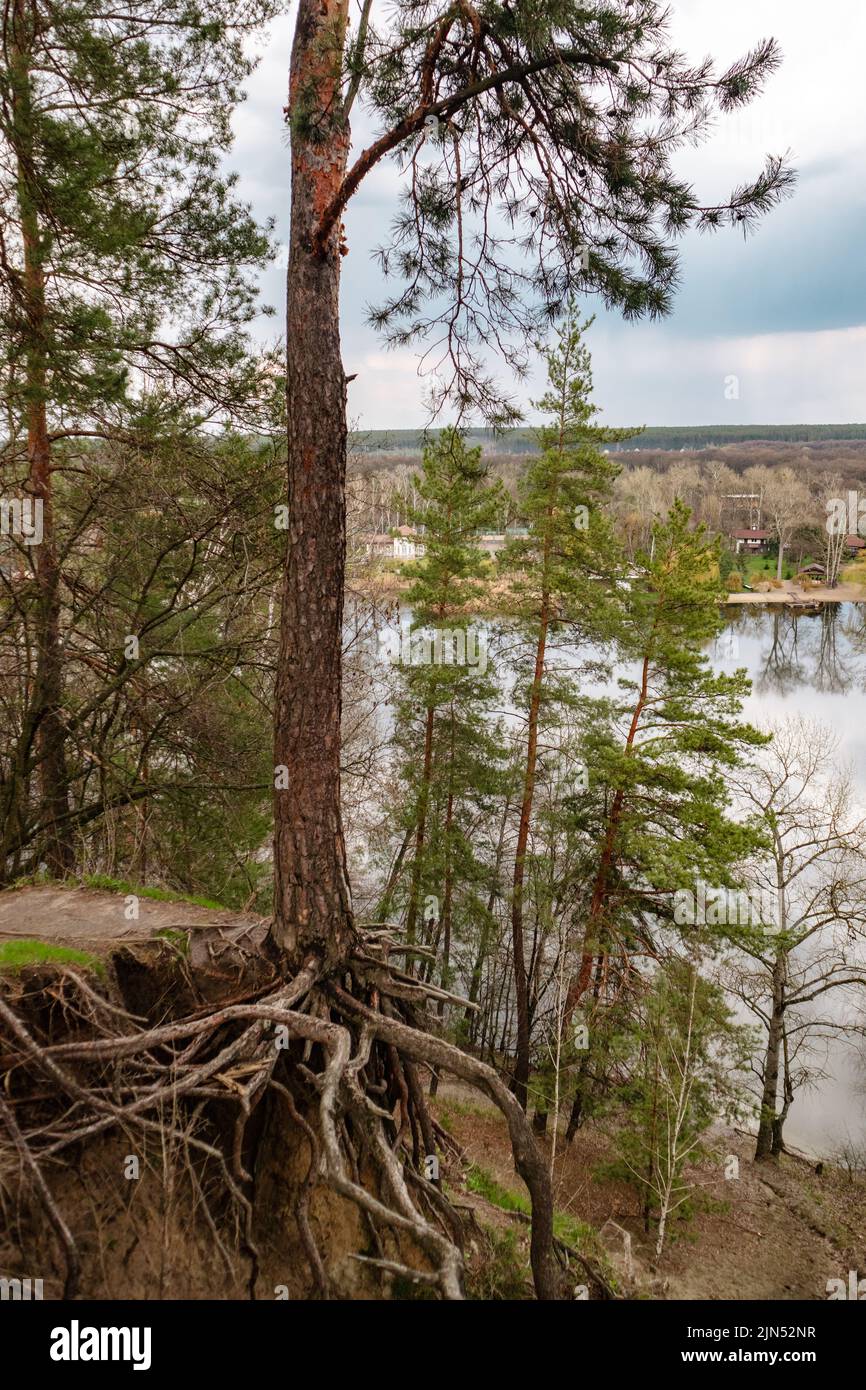 Koropove hi-res stock photography and images - Alamy