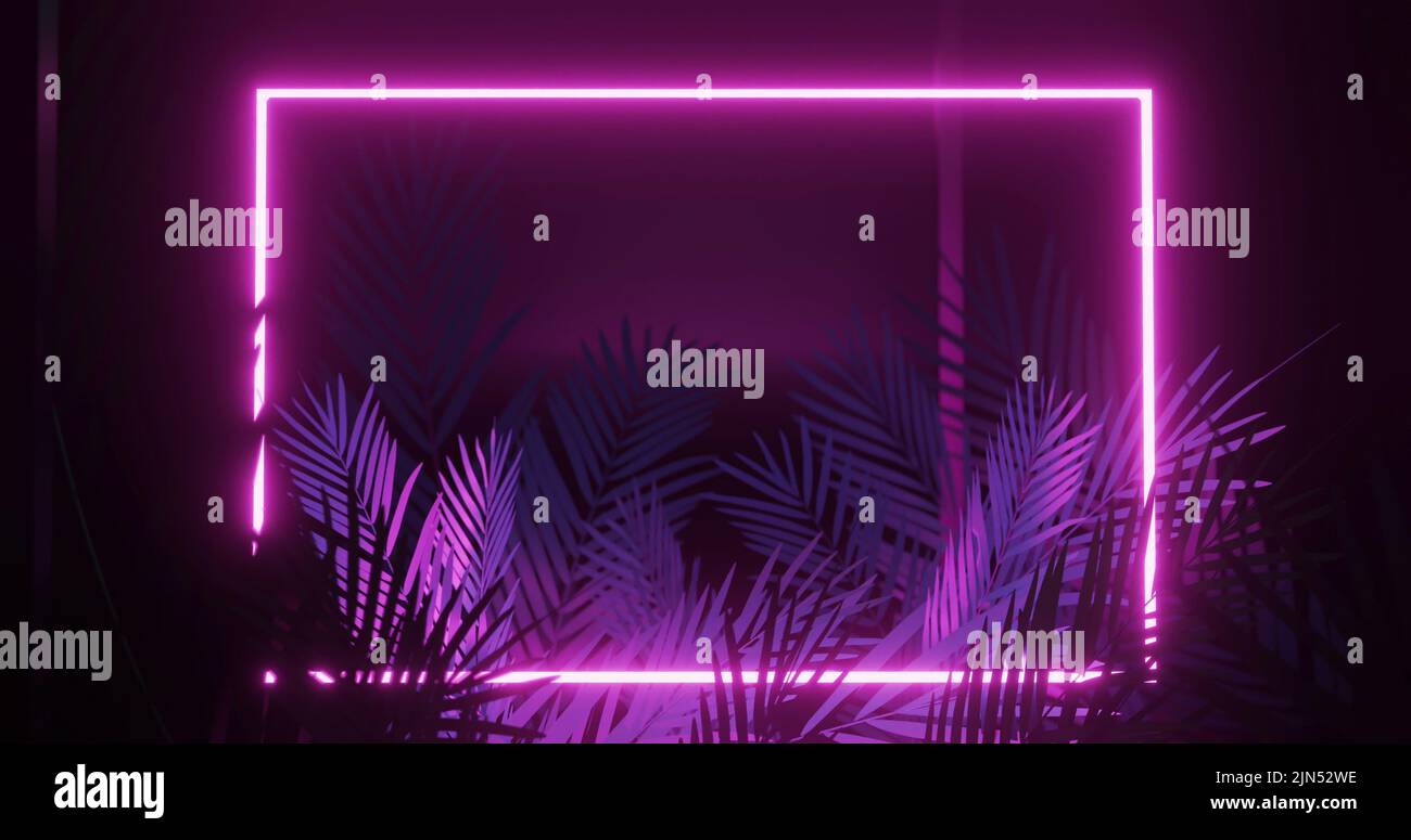 Image of leaves over pink neon rectangle on black background Stock ...