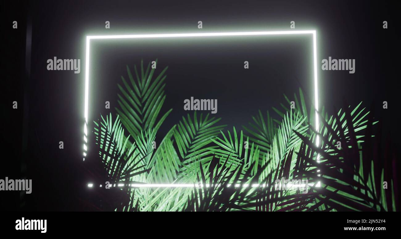 Image of leaves over white neon rectangle on black background Stock ...