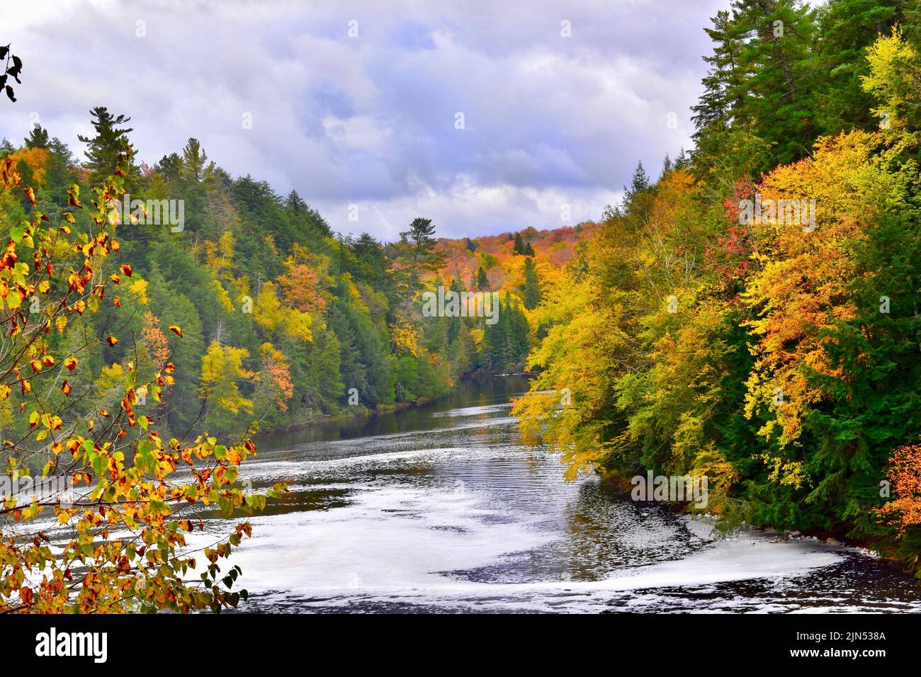 A river at Tahquamenon Falls State Park in Michigan, USA Stock Photo ...
