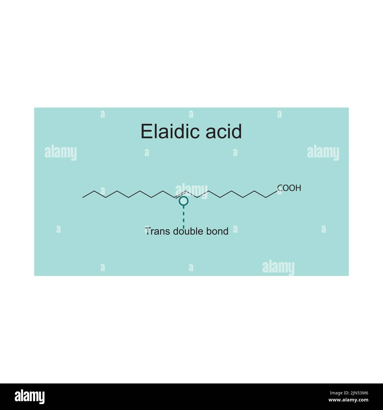 Elaidic acid (18 carbon fatty acid) chemical structure on blue ...
