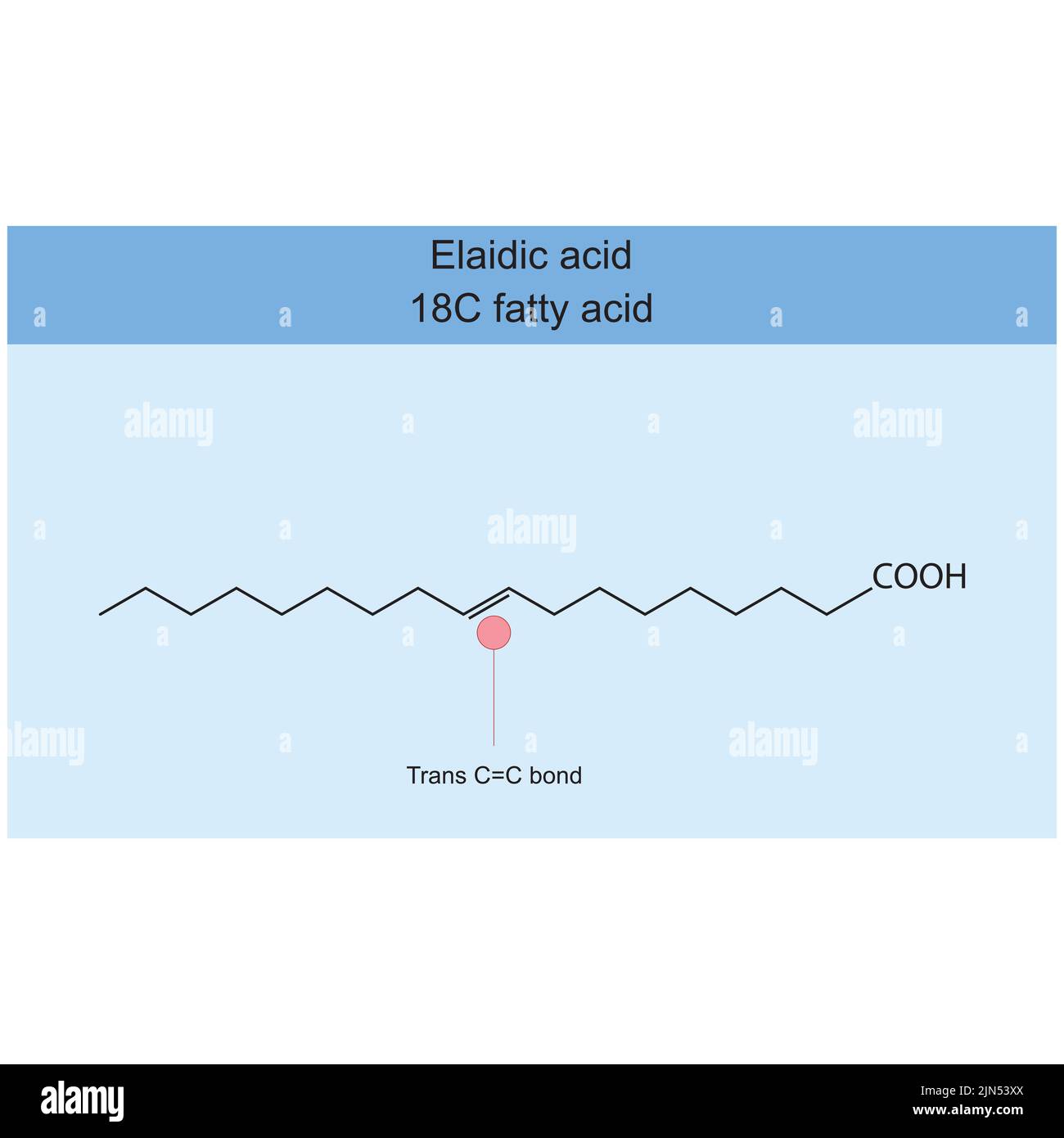 Elaidic acid (18 carbon fatty acid) chemical structure on blue ...