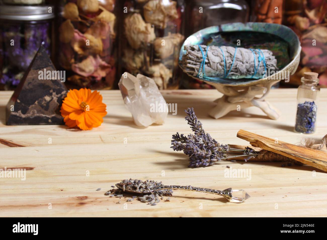 Dried Lavender With Palo Santo Wood and Abalone Shell For Smudging ...