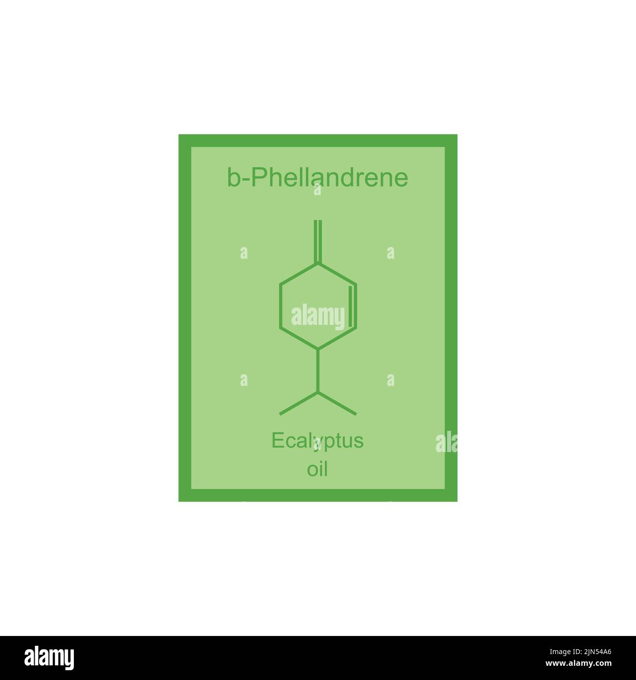 b-Phellandrene (alkene) chemical structure on green background ...