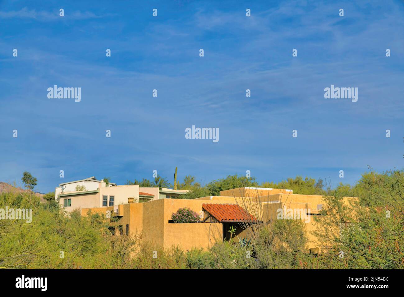 Mediterranean houses in the middle of trees and plants at Tucson ...