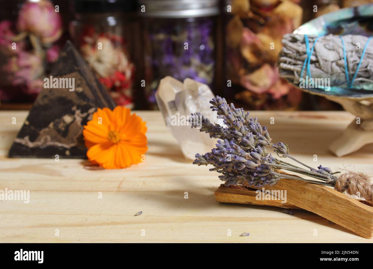 Dried Lavender With Palo Santo Wood and Abalone Shell For Smudging ...