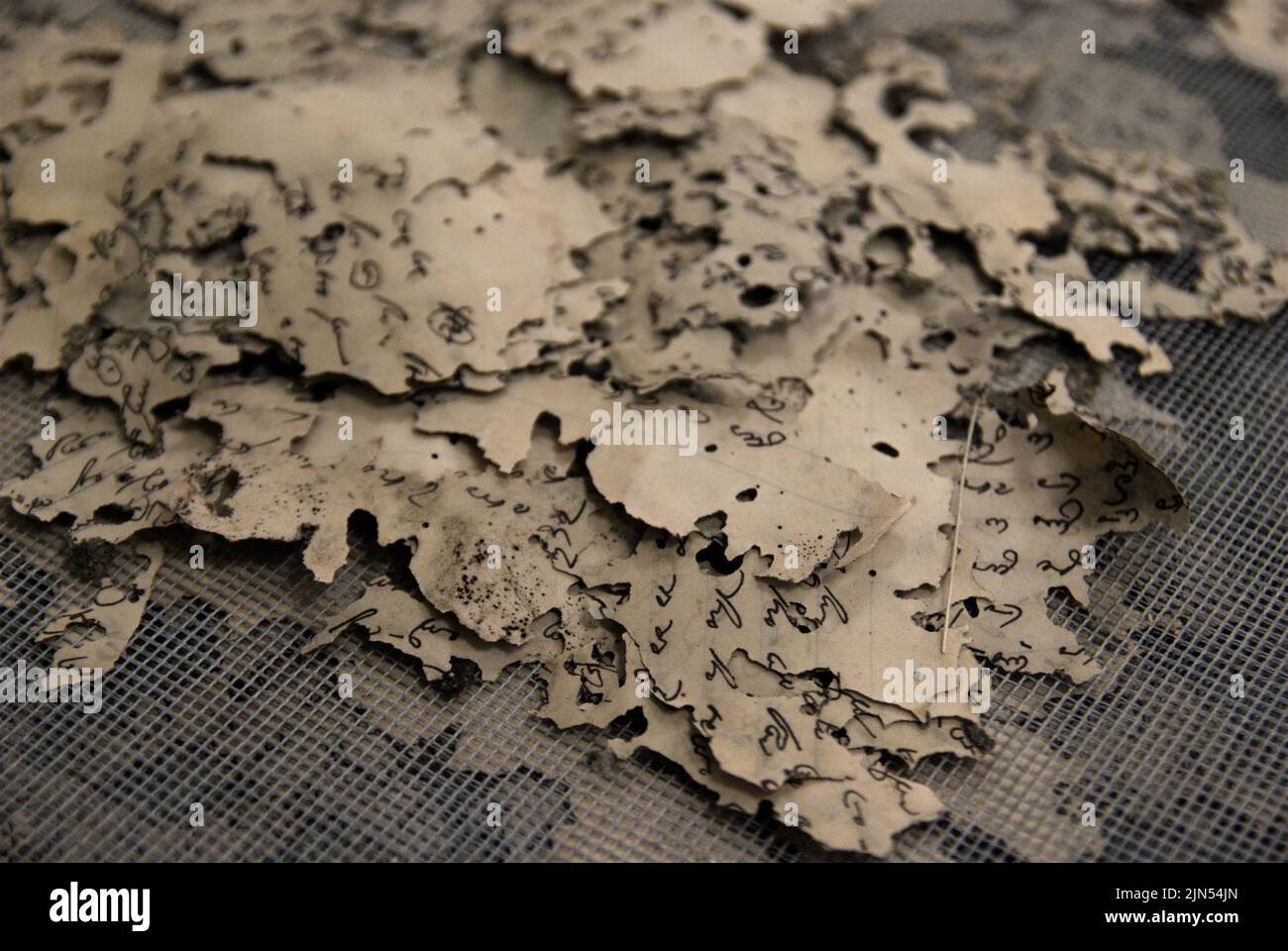 Pieces of pages from a book written in ancient letters is being ...