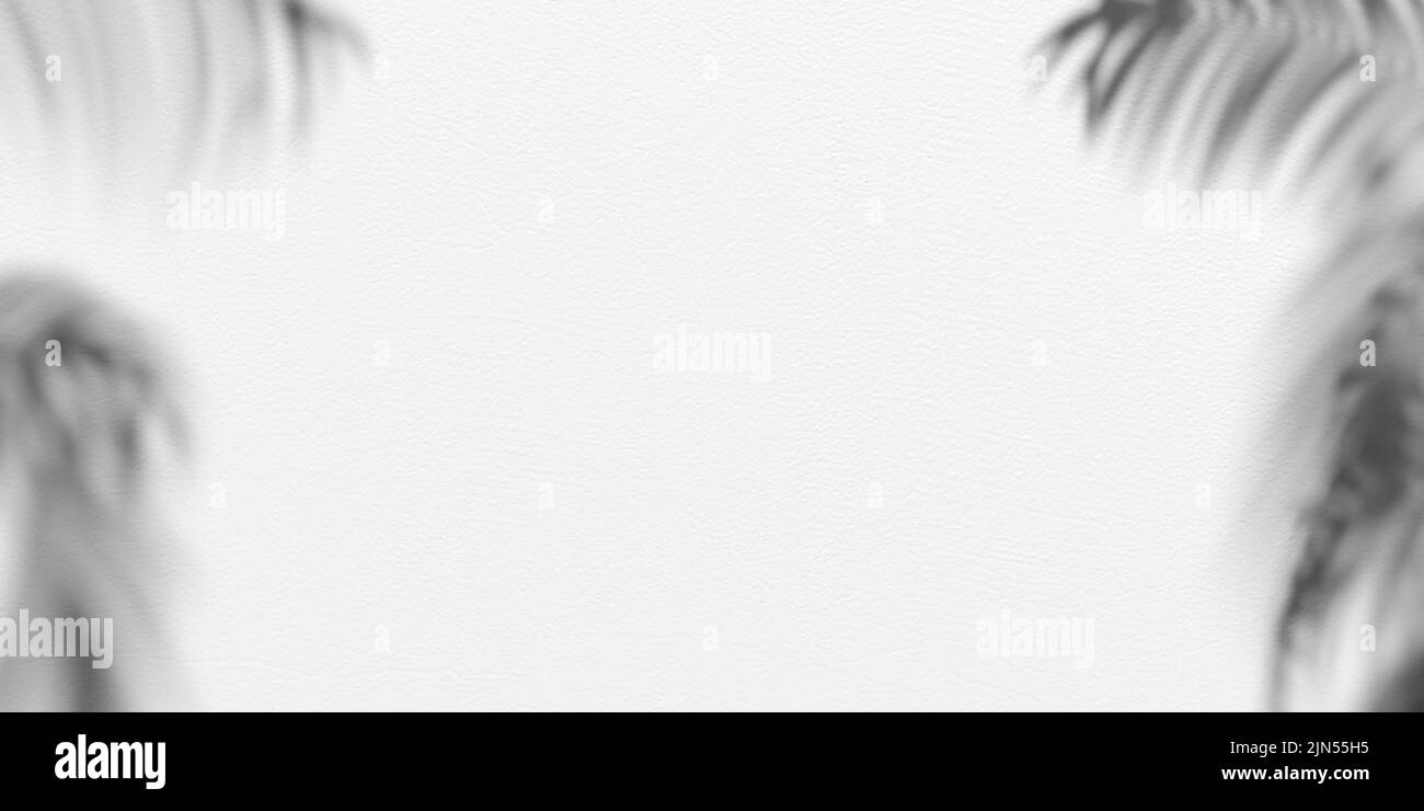 Palm tree leaf shadow effect. Vector flat lay design overlays on white ...