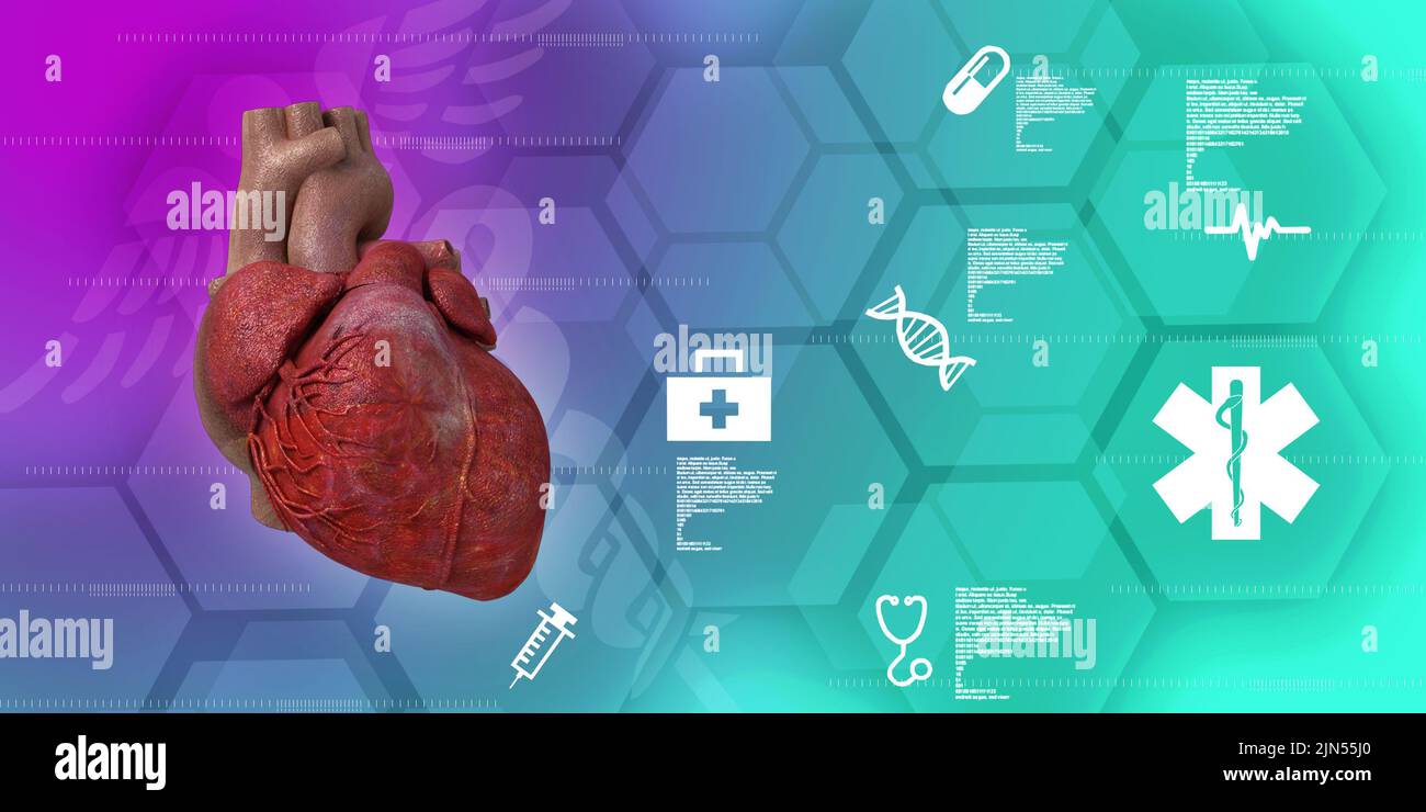 3d illustration Anatomy of Human Heart Stock Photo - Alamy