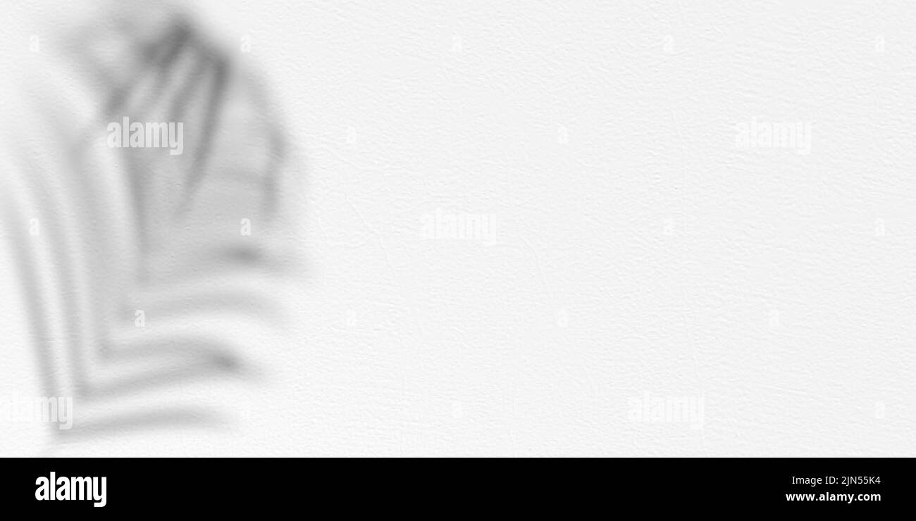 Palm tree leaf shadow effect. Vector flat lay design overlays on white ... Palm tree leaf shadow effect. Vector flat lay design overlays on white ...