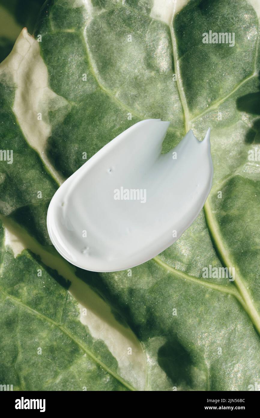 A smear of a white cream for face and body care on a green leaf ...