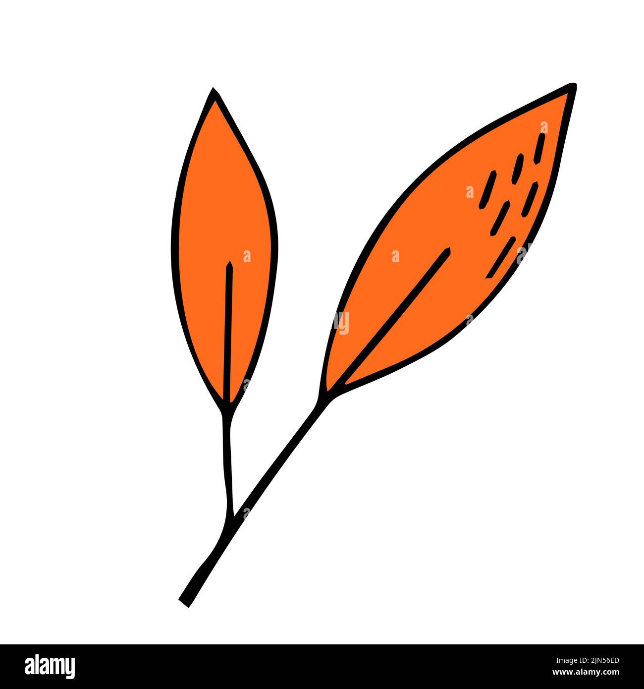 Autumn leaf in doodle style. Hello, Autumn. Design or sticker. Isolated ...