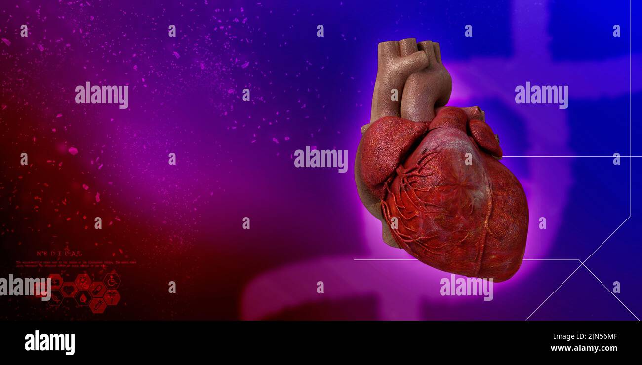 3d illustration Anatomy of Human Heart Stock Photo - Alamy