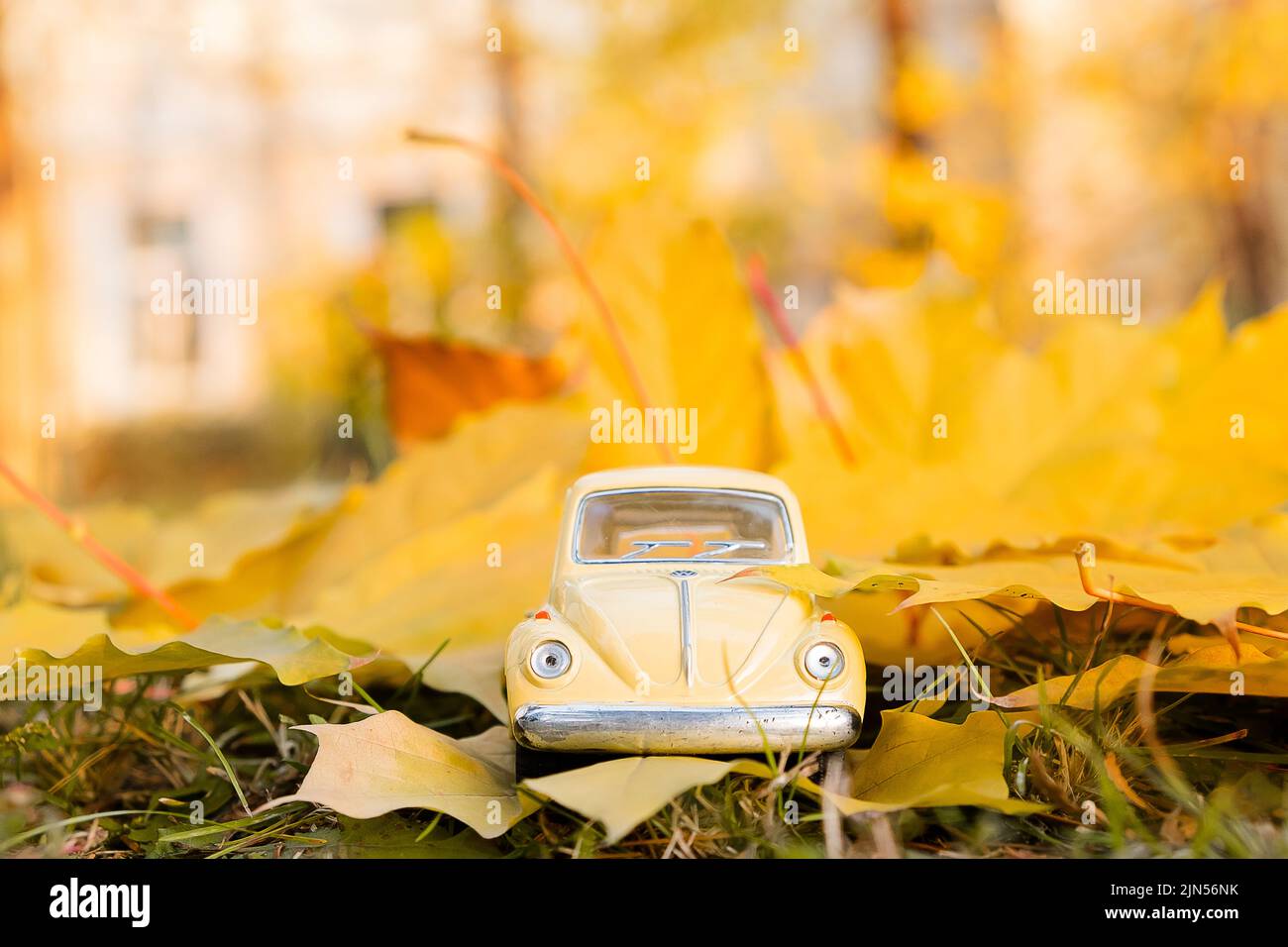 Yellow retro toy car on autumn maple leaf background. Autumn travel and ...