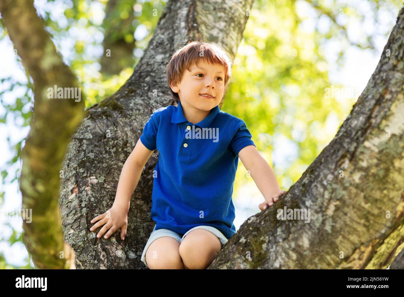 happy little boy climbing tree at park Stock Photo - Alamy