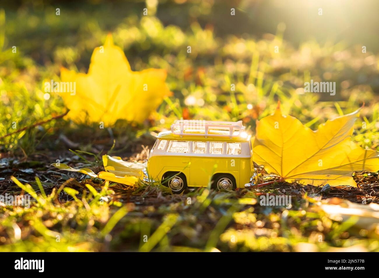 Autumn retro yellow van bus on autumn maple leaf background. Funny ...