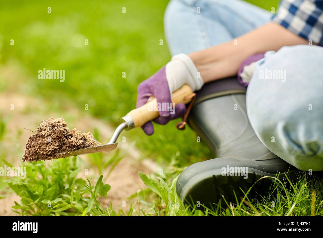 Hand digging hi-res stock photography and images - Alamy