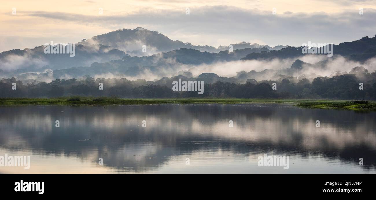 Panoramic view of damp and misty rainforest at sunrise on the east side ...