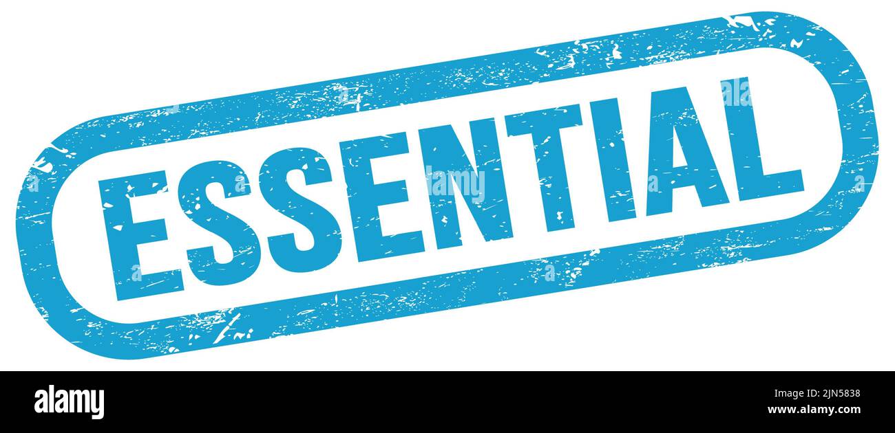 ESSENTIAL, text on blue rectangle stamp sign Stock Photo - Alamy