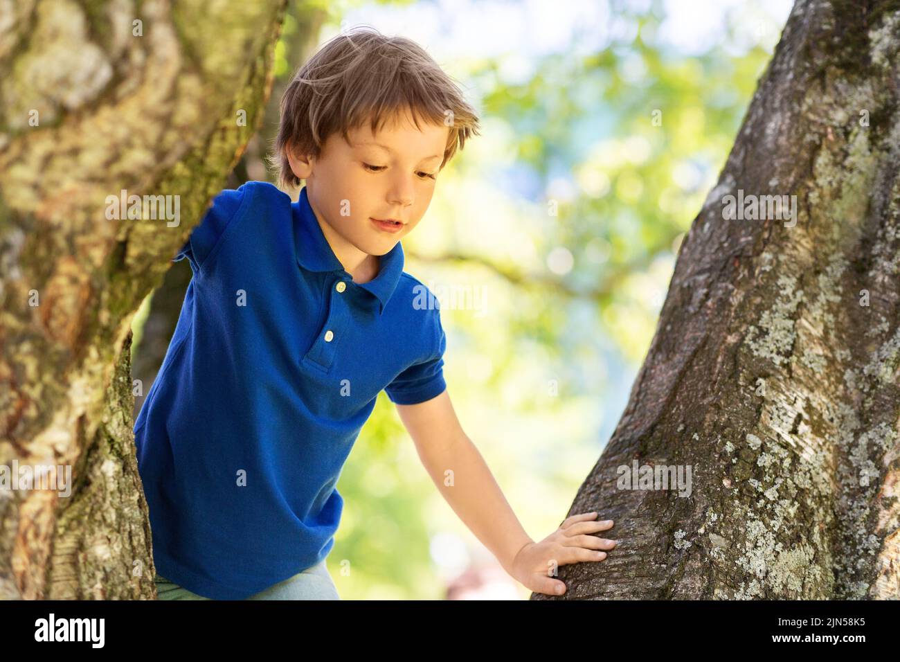 happy little boy climbing tree at park Stock Photo - Alamy