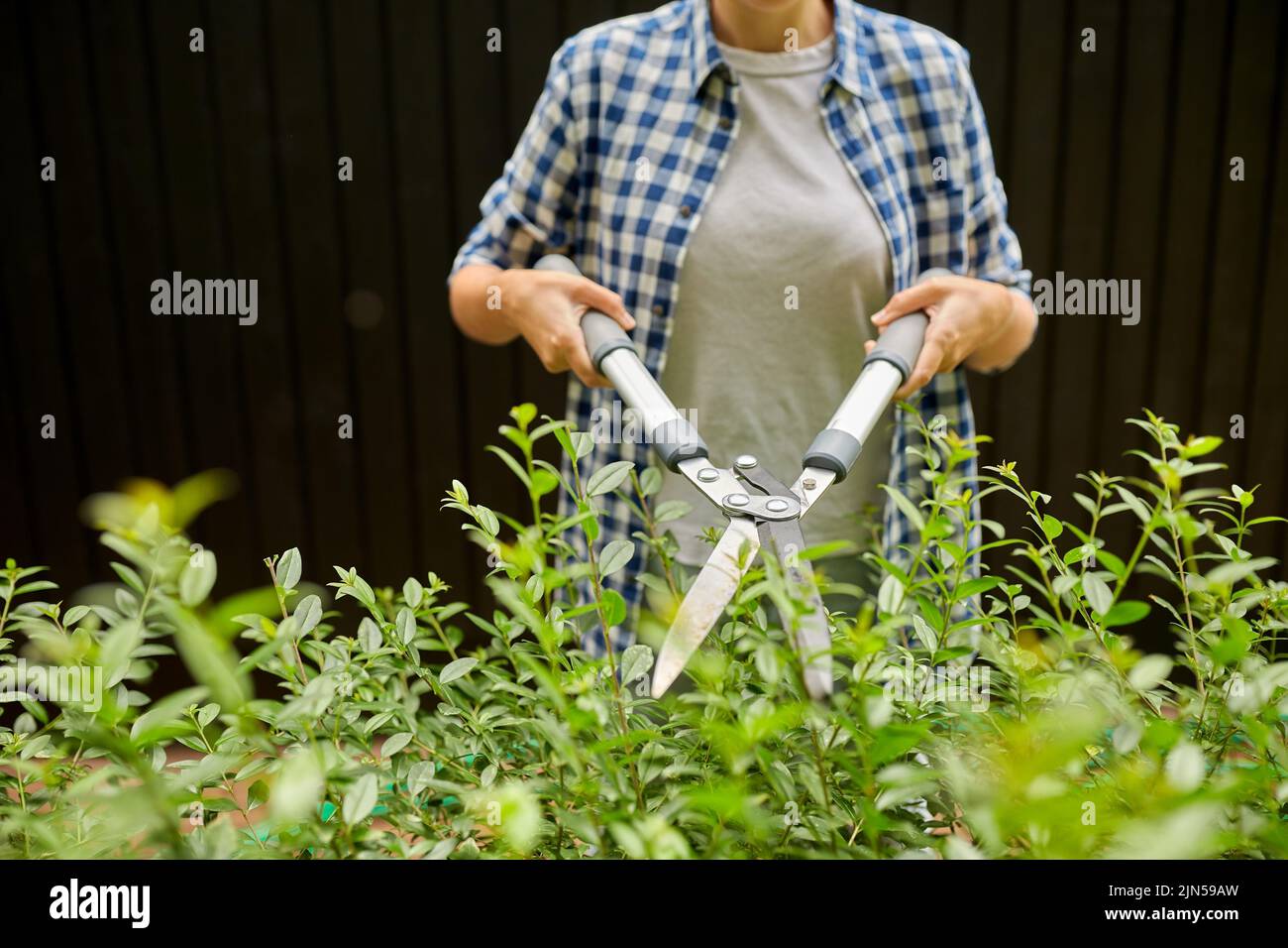Suburban tree prune hi-res stock photography and images - Alamy