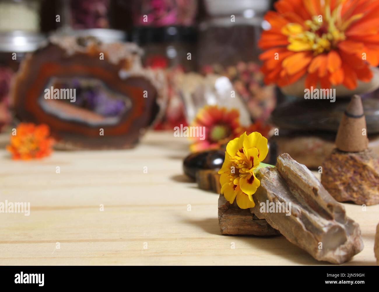 Agatized Coral With Quartz Crystals and Flowers on Meditation Altar ...