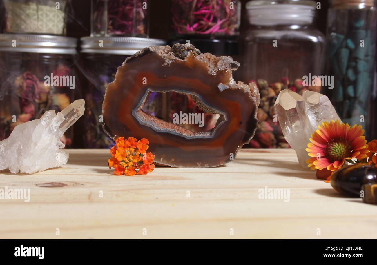 Agatized Coral With Quartz Crystals and Flowers on Meditation Altar ...