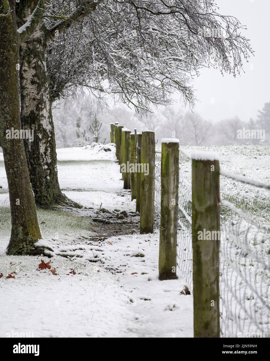 Winter landscape of snow-covered fence and trees. Vertical format Stock ...