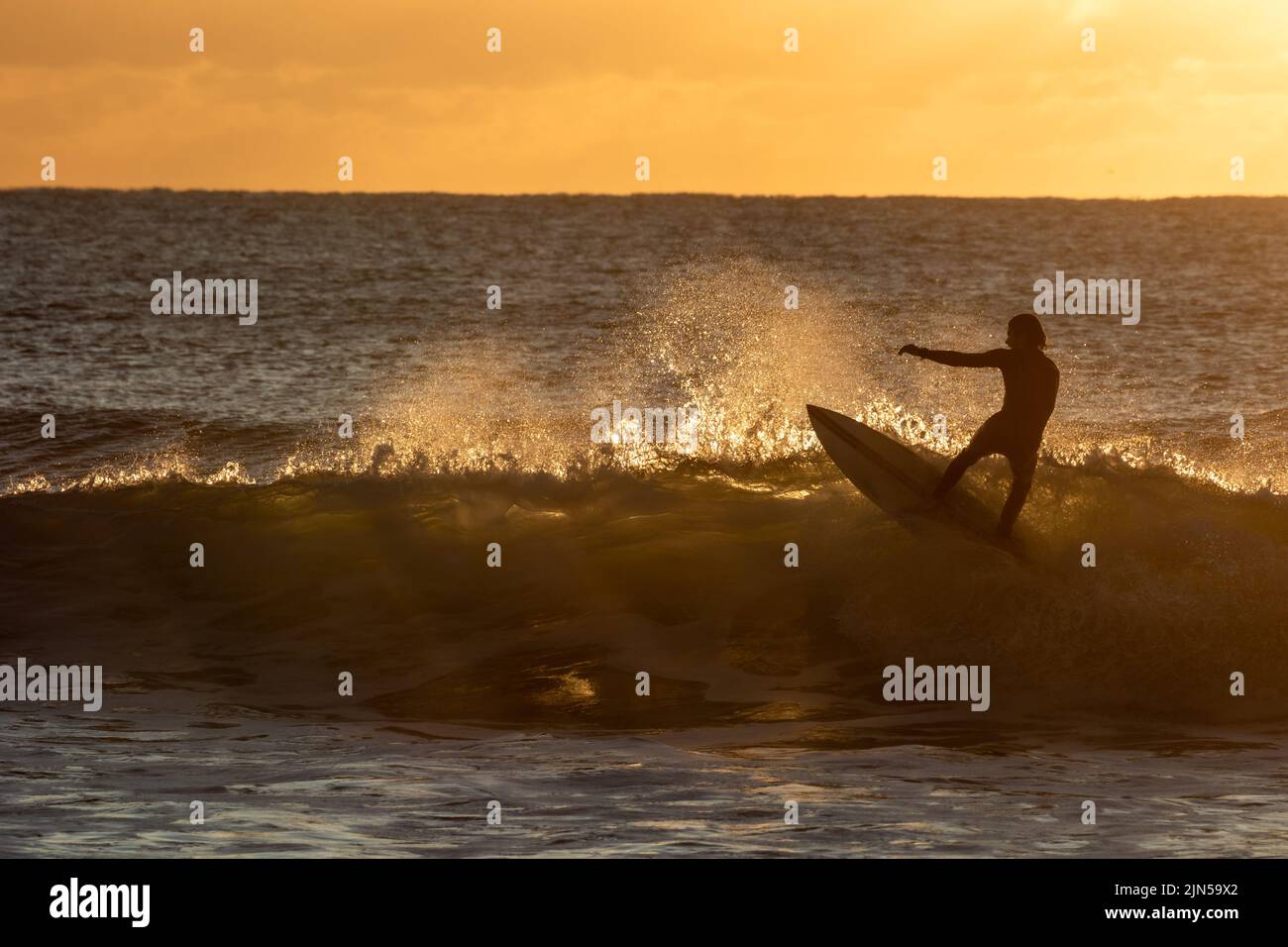 The surfer riding a wave in the early morning. Maroochydore, Australia ...