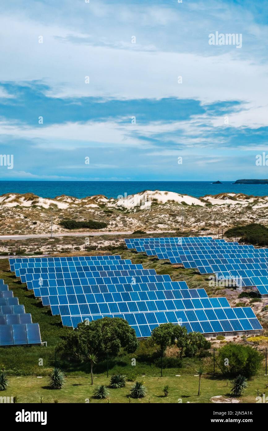 A vertical aerial view of rows of solar panels in the field by the ...