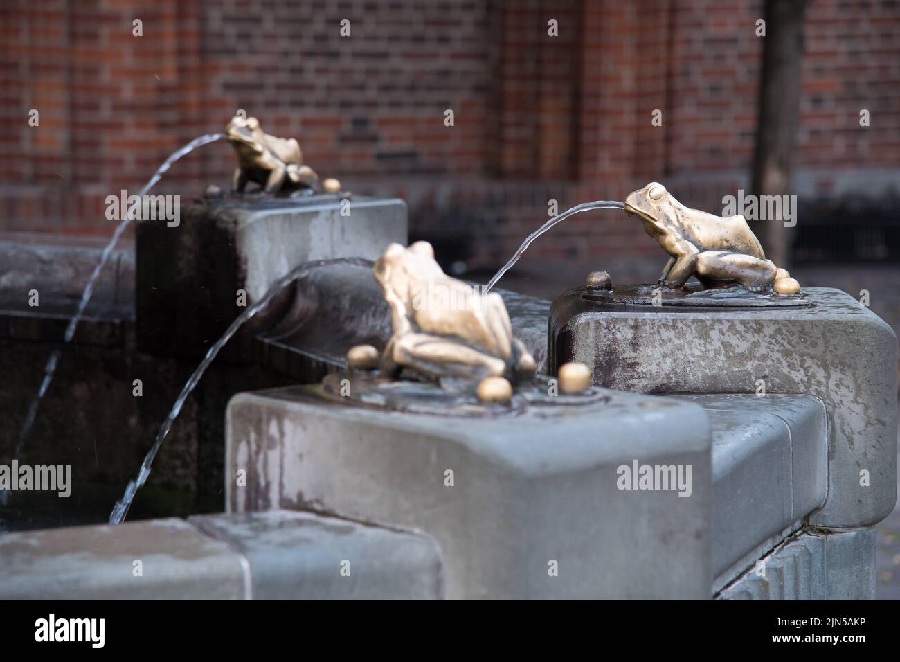 Monument of a lighterman and frogs fountain on Old Town Market Square ...