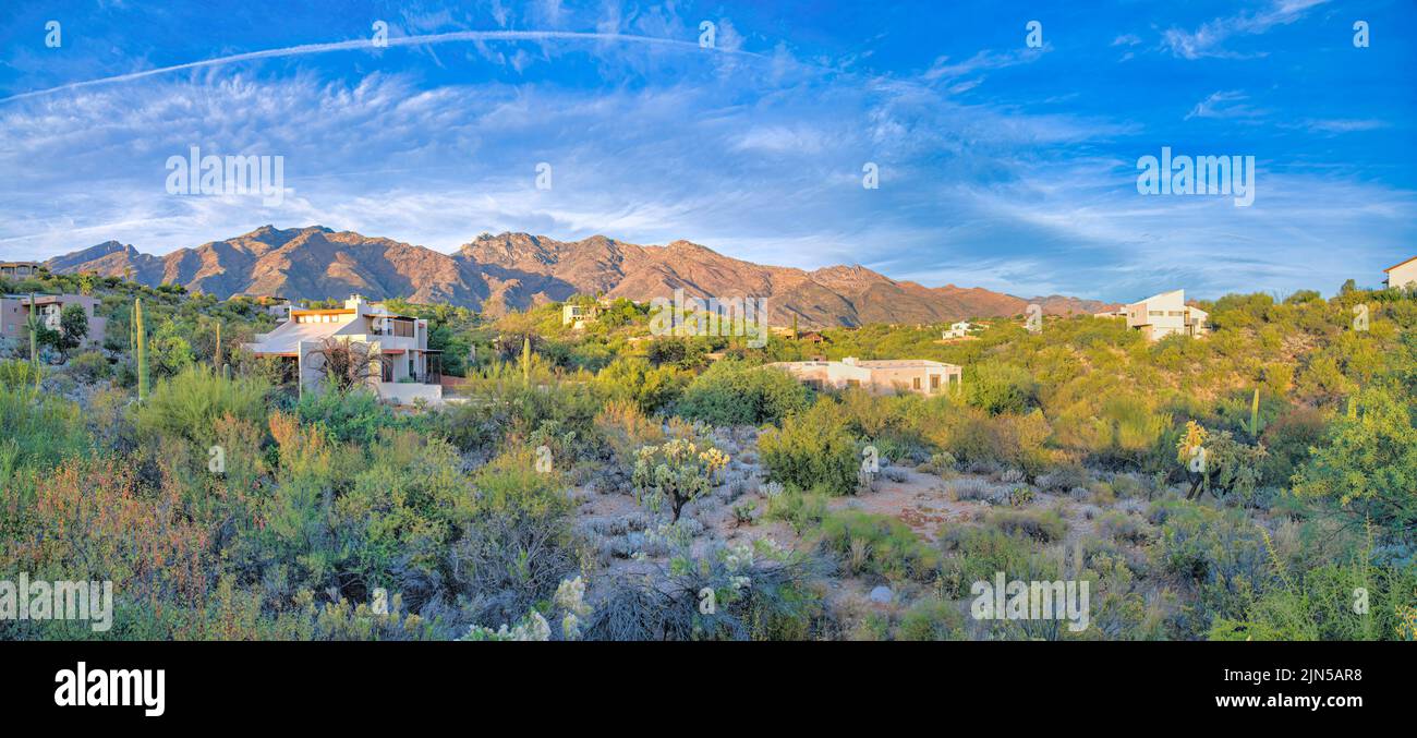 Mountainside residential area with wild plants surrounding the houses ...
