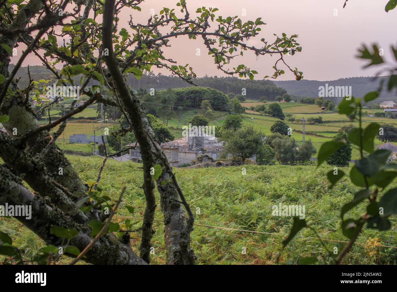 house in the countryside surrounded by green Stock Photo - Alamy