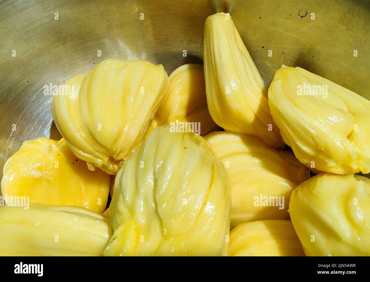 Jack-fruit is a delicious fruit found in India, Srilanka, Bangladesh ...