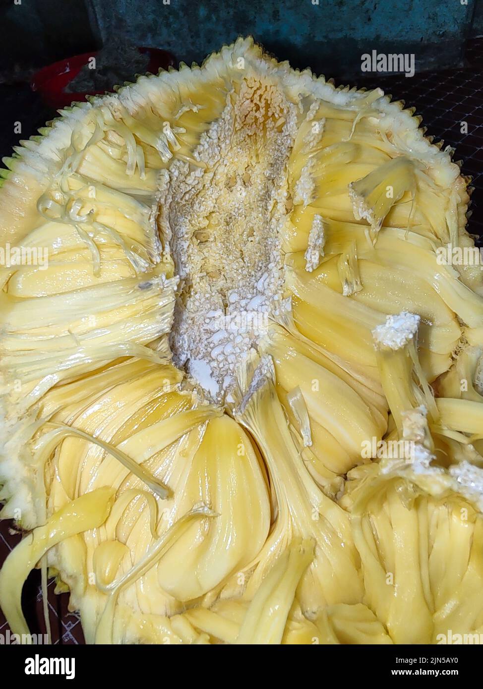 Jack-fruit is a delicious fruit found in India, Srilanka, Bangladesh ...