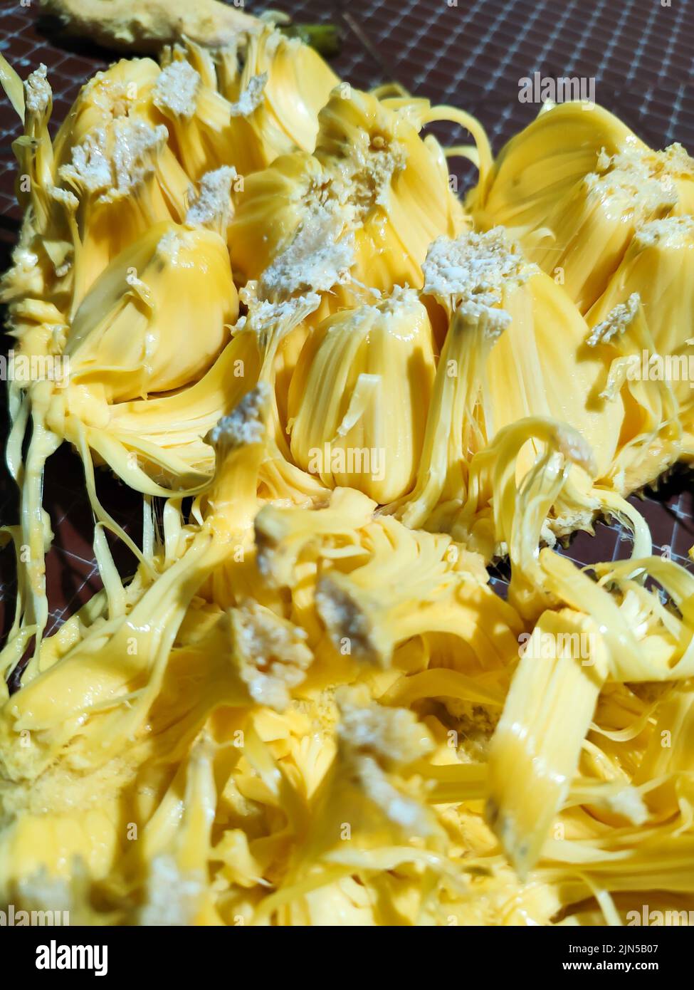 Jackfruit philippines hi-res stock photography and images - Alamy