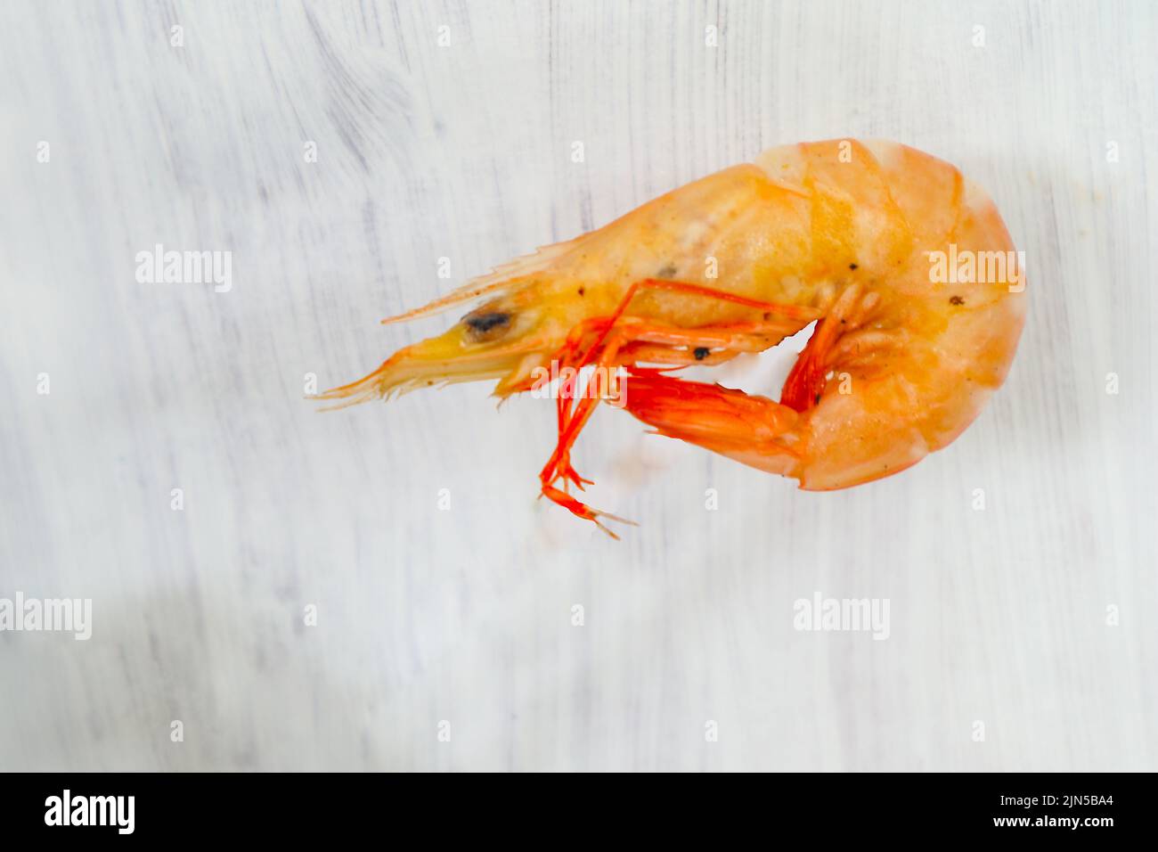 Shrimp Or Prawn Isolated On White Background Shrimp Or Prawn Isolated