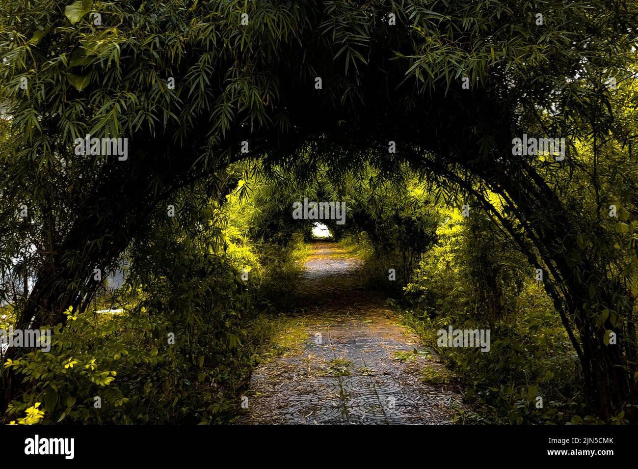 Bamboo made corridor in a park in Tripura. Small bamboos are stick-ed ...