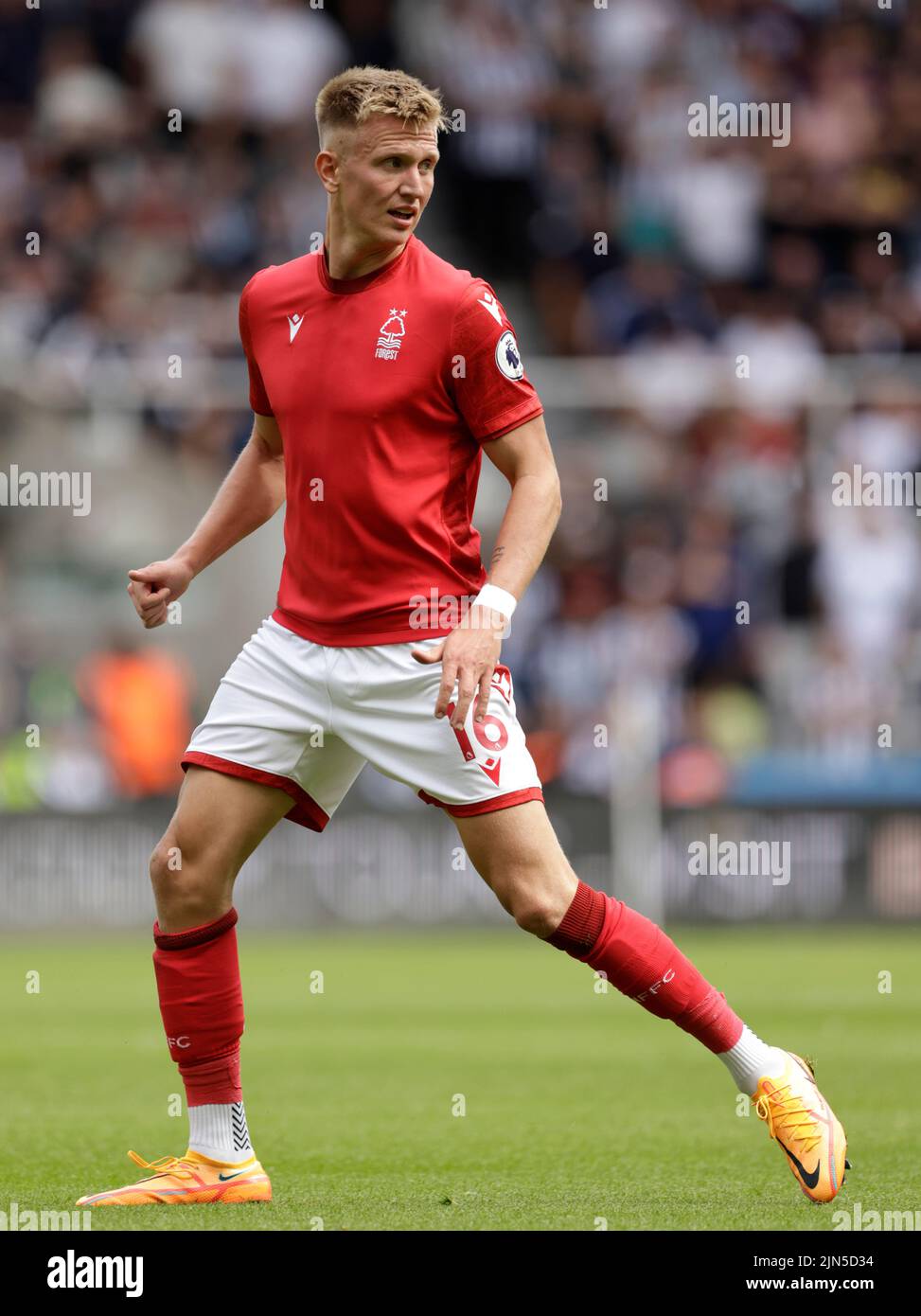 Nottingham Forest's Sam Surridge during the Premier League match at St ...