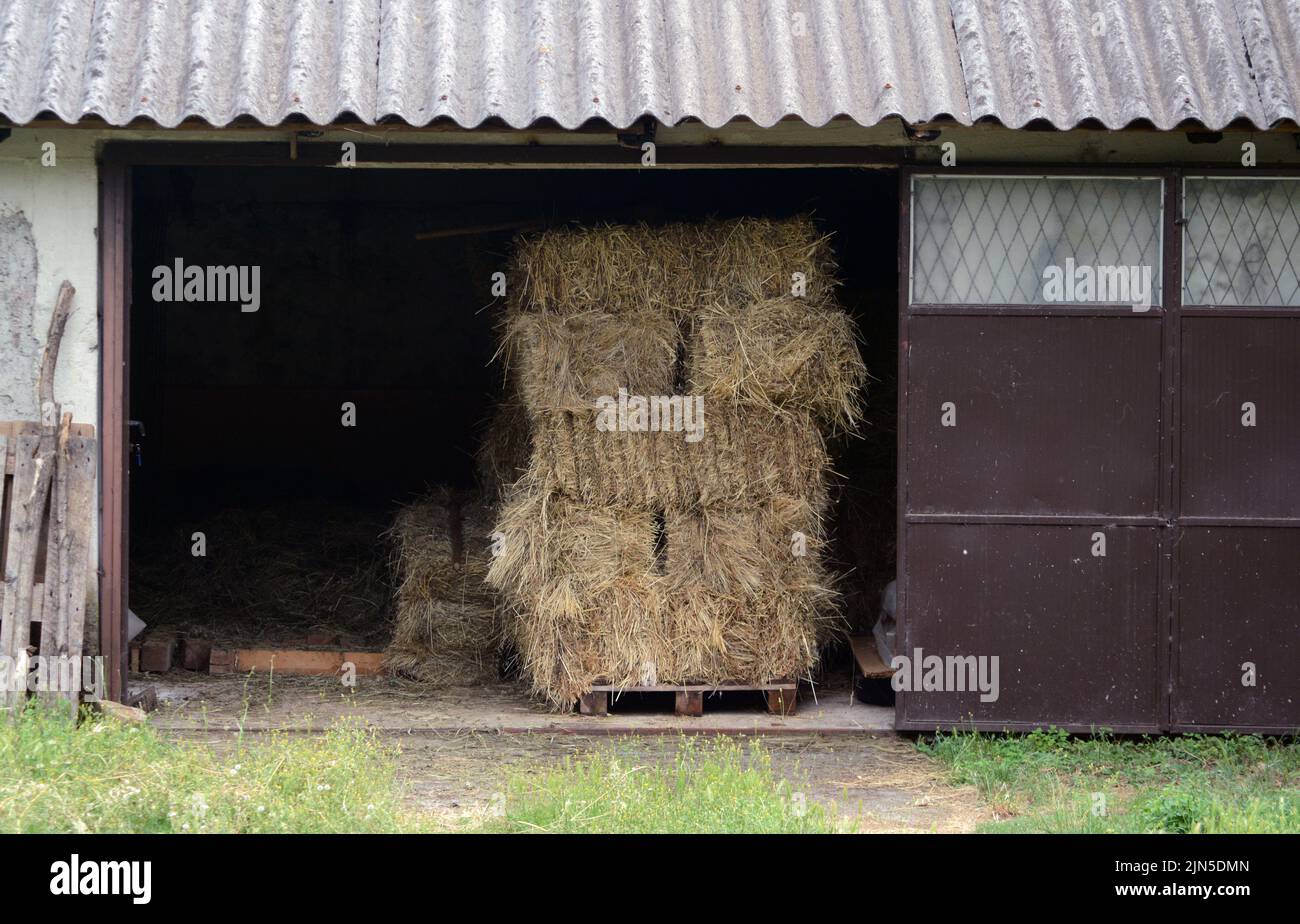 a stable with a hay inside and metal door Stock Photo - Alamy