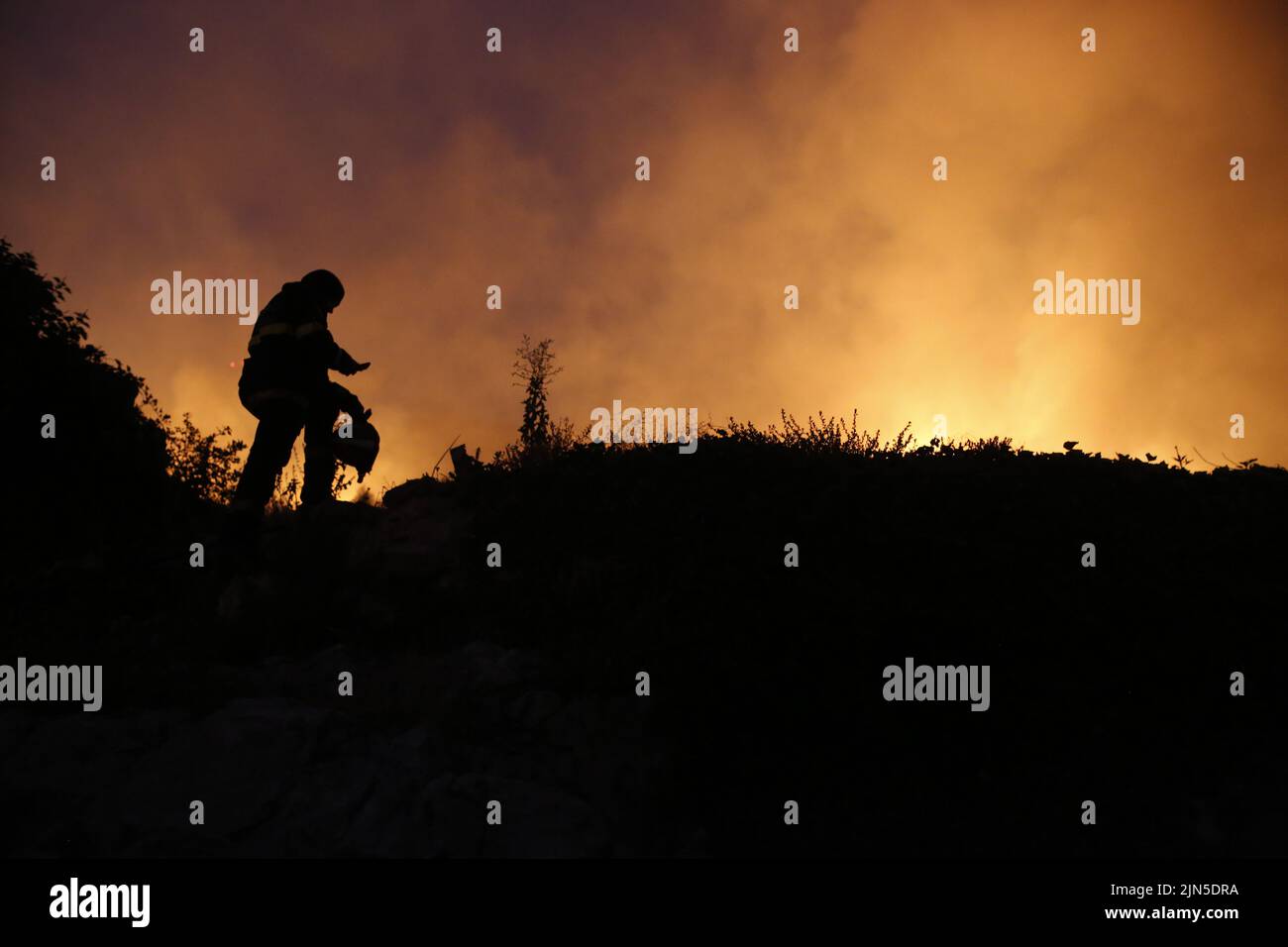 Croatian fire workers controls fire during forest fire on the Peljesec ...