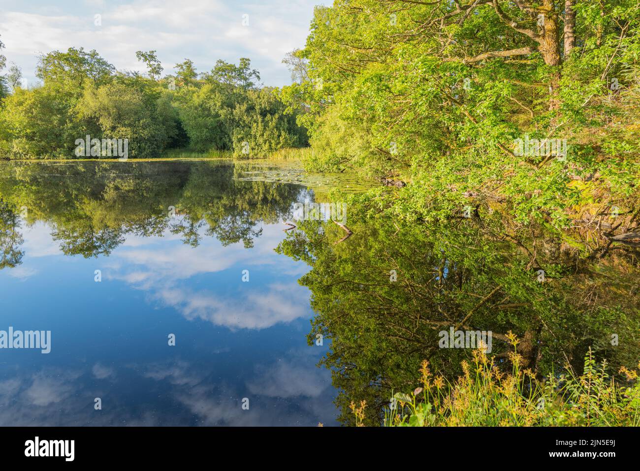 Calm loch in Scottish Highlands with clouds and green trees reflected ...
