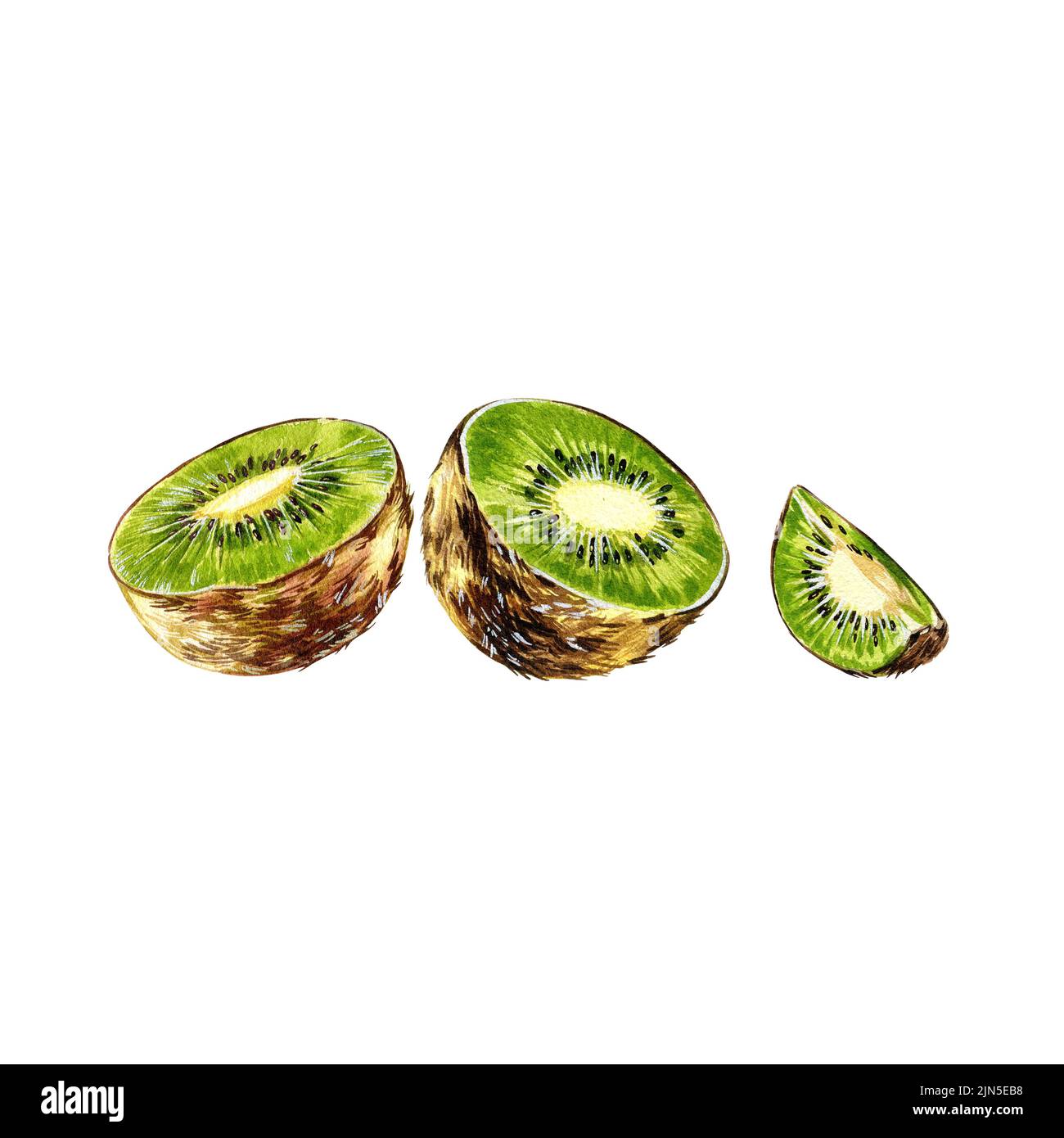 Kiwi slices illustrations isolated on white background. Fresh, tropical ...