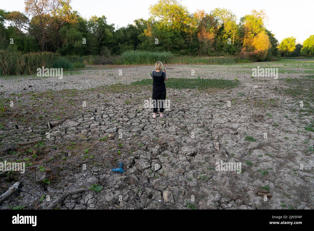 DROUGHT LONDON © Jeff Moore A pond has dried up and conkers have ...