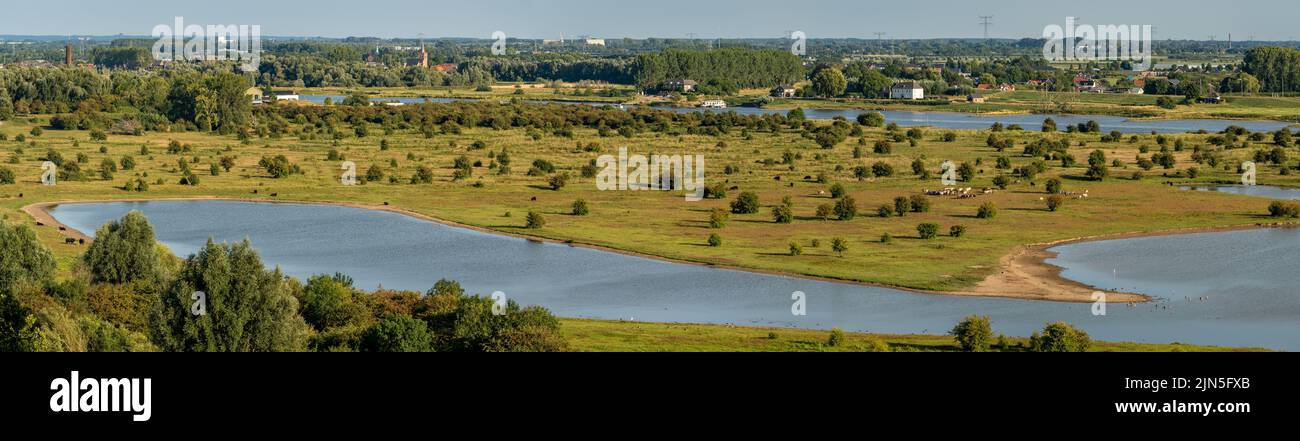 Panorama of Blauwe Kamer nature reserve nearby the city of Rhenen, as ...