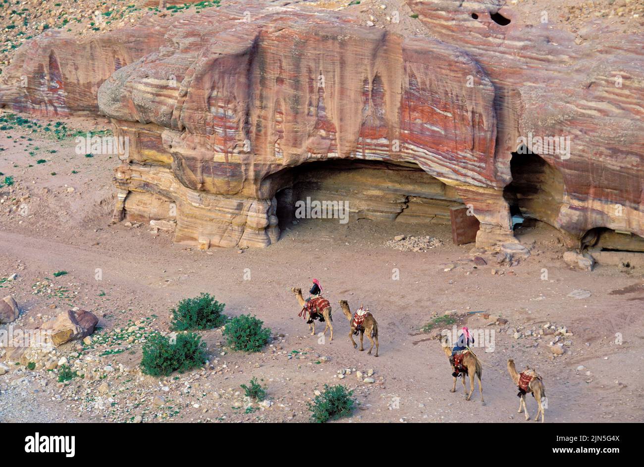 Jordan, Petra, camel driver Stock Photo - Alamy