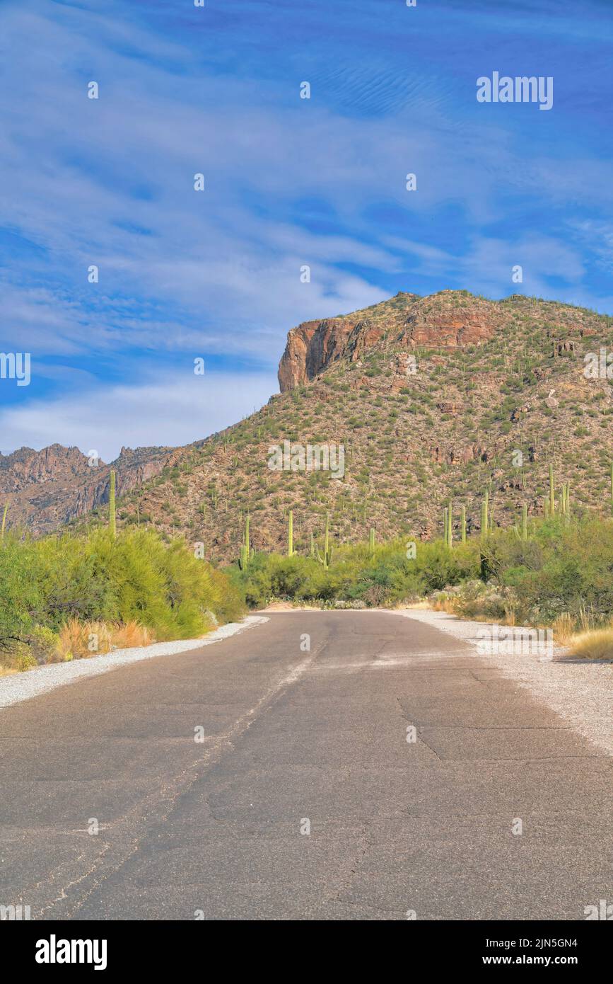Concrete road with a mountain view at Sabino Canyon State Park in ...