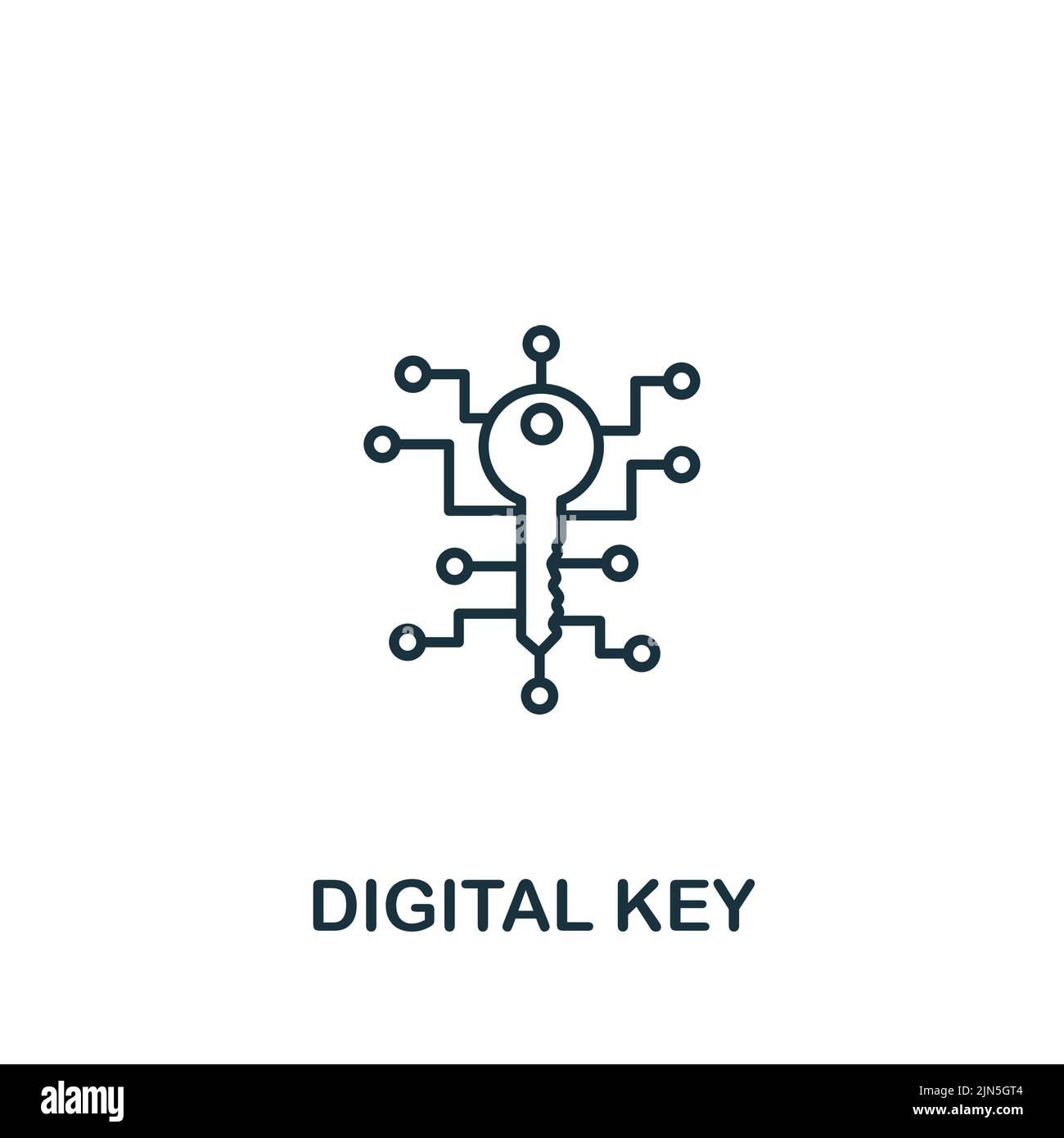 Digital Key icon. Monochrome simple Cryptocurrency icon for templates ...