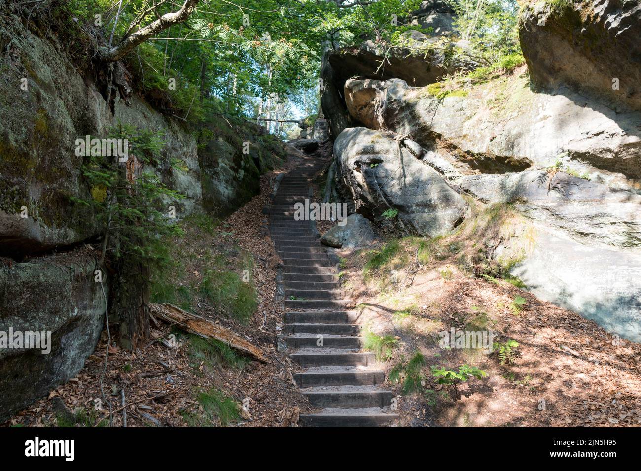 Saxon Switzerland uphill stairs, Germany Stock Photo - Alamy