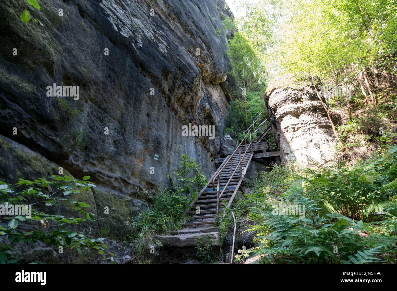 Saxon Switzerland uphill stairs, Germany Stock Photo - Alamy
